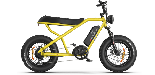 BULLET X – Cascade eRides